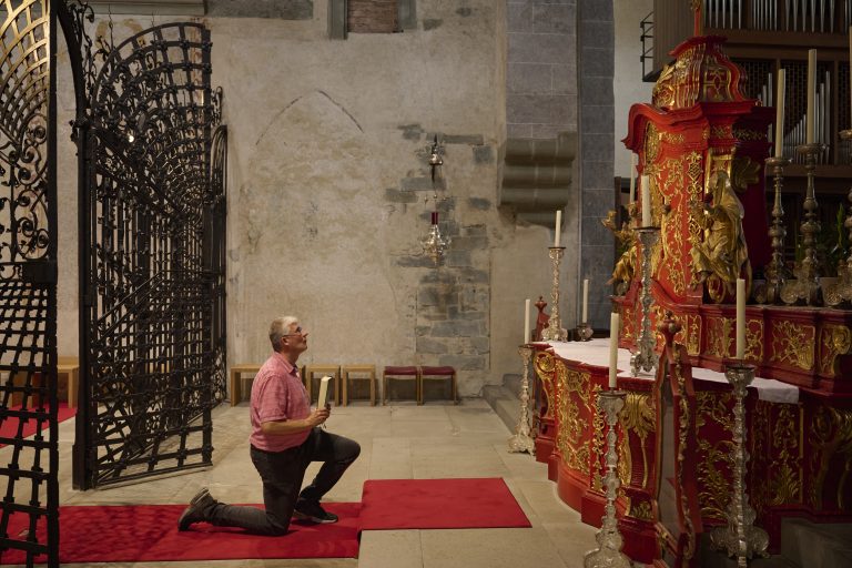 Die Perle des Bodensees: Die Reichenau, ein Paradies für Natur- und ...