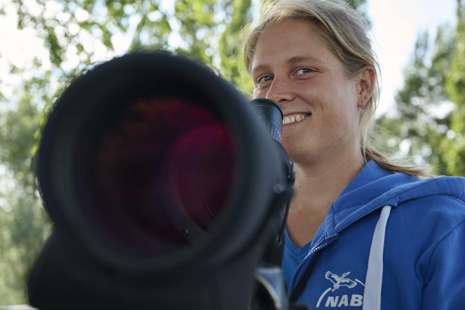 Die Perle des Bodensees: Die Reichenau, ein Paradies für Natur- und Kulturliebhaber