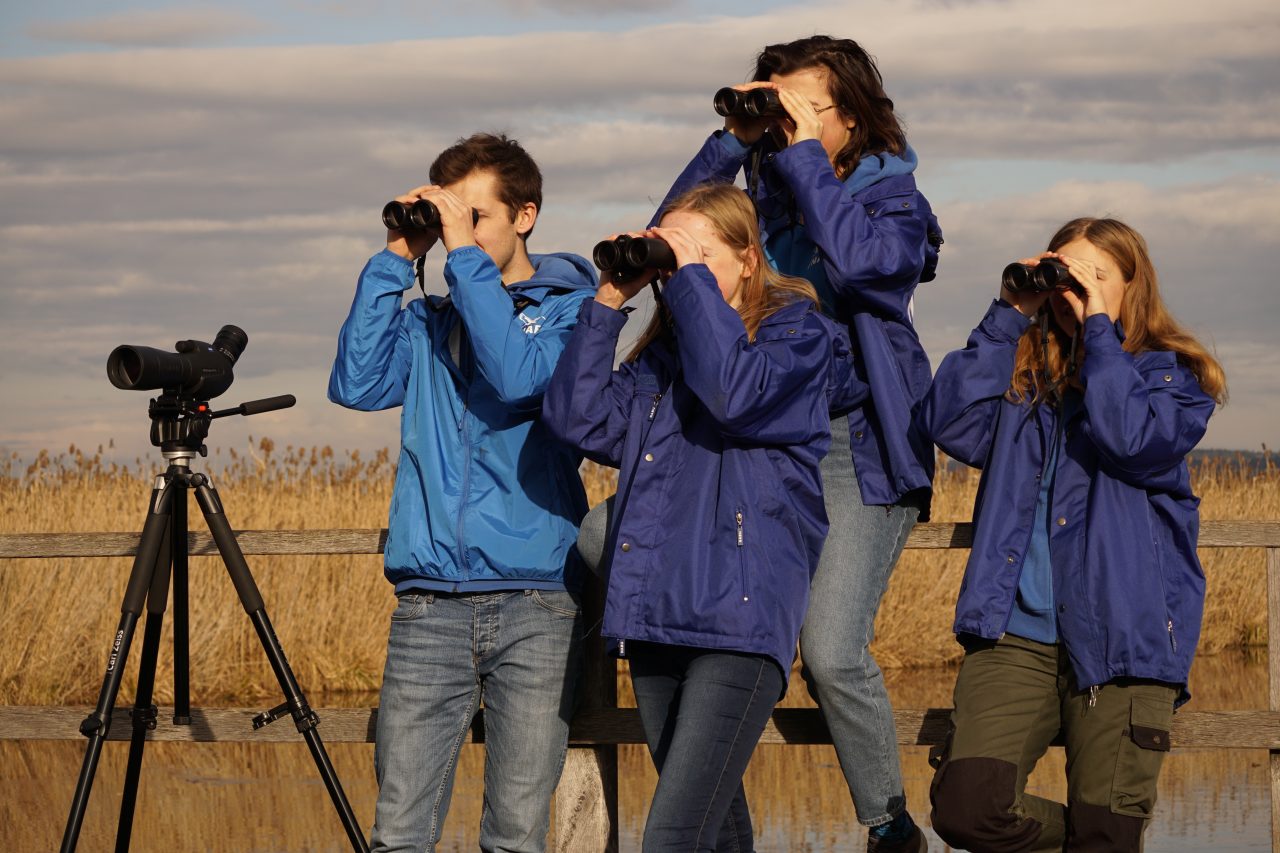 Ausflugstipp Wackelwald: Hier wackelt der Boden wie Pudding unter den ...
