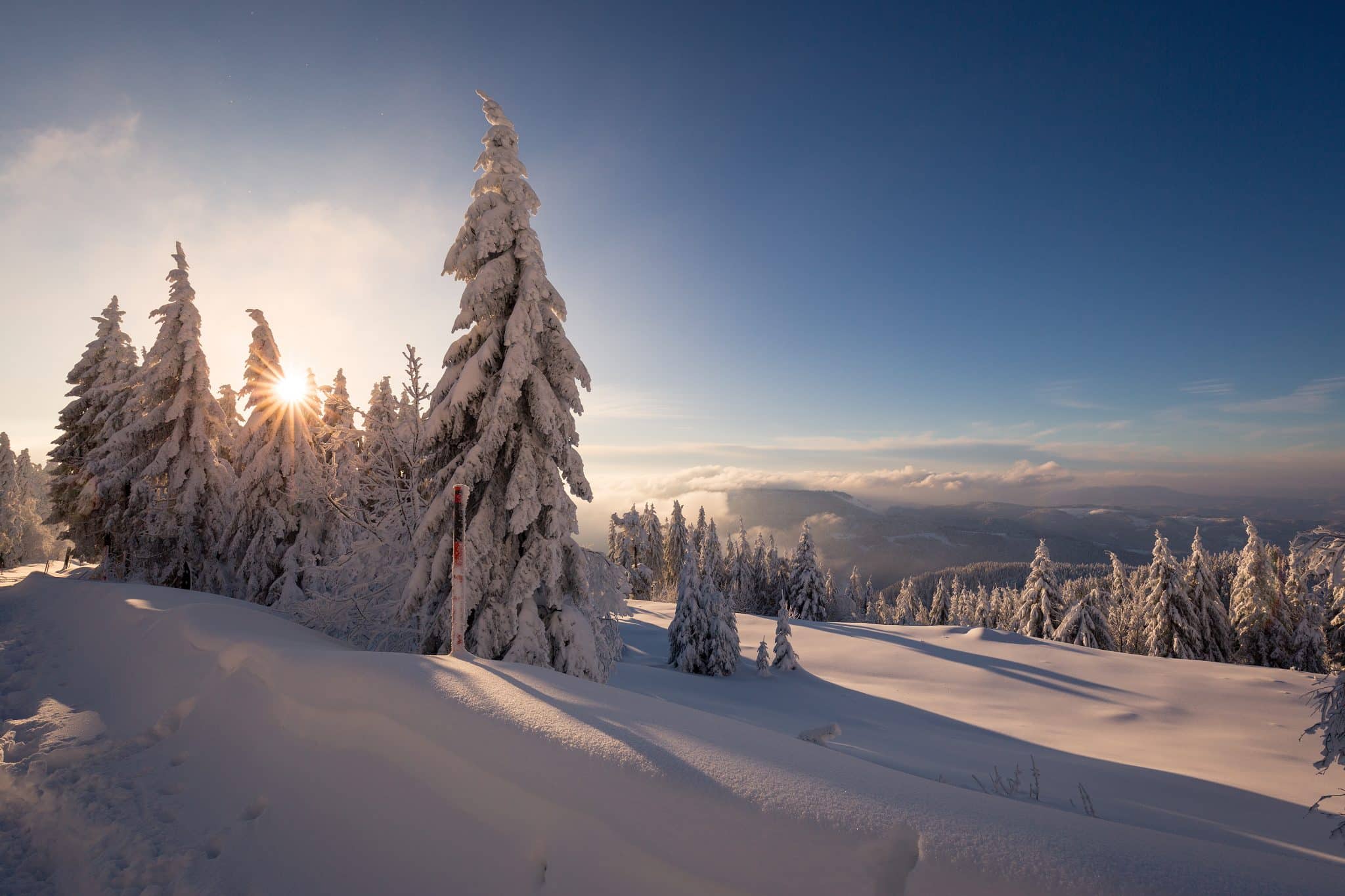 Jahrhundertwinter oder Fehlalarm? Wetter.com-Meteorologin Denise ...