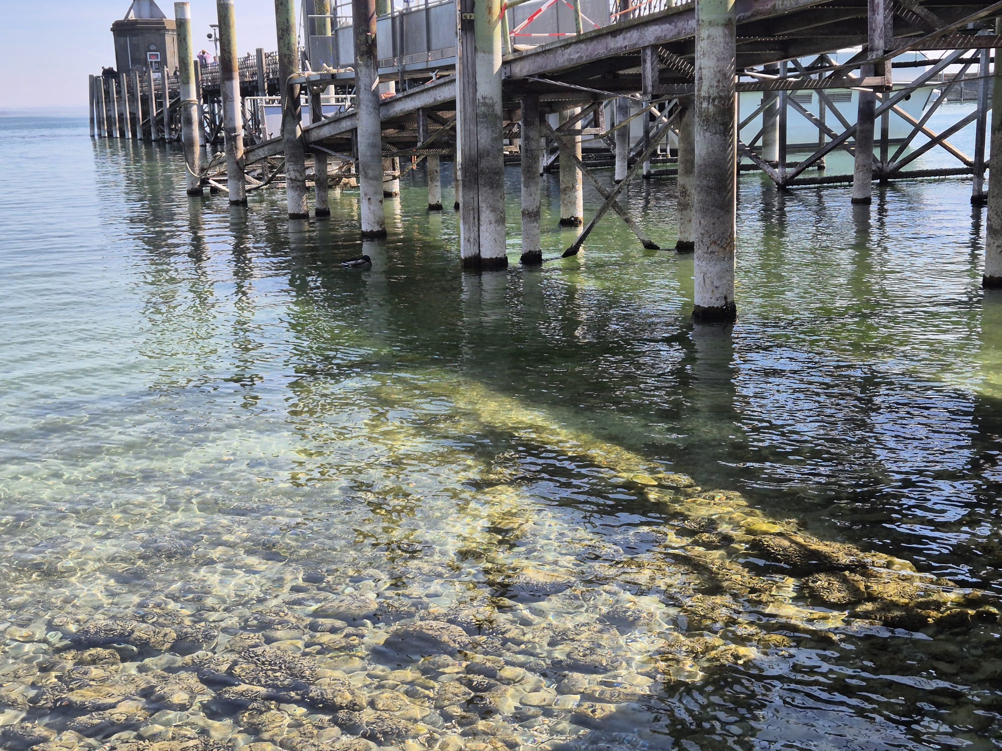 Bleibt’s so trocken, steht der Bodensee vor dem nächsten Tiefstand